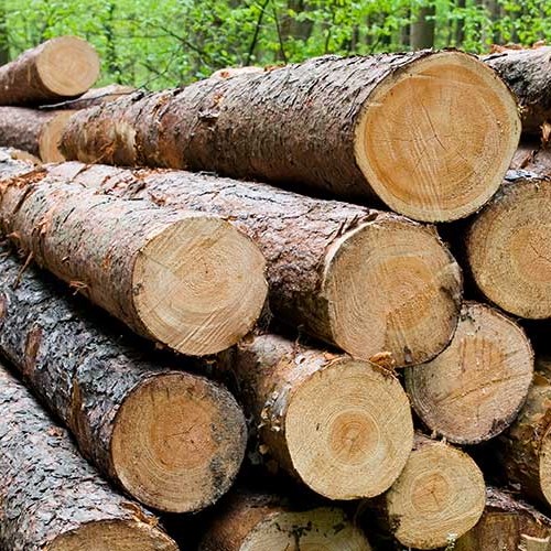 SCS LegalHarvest™ Verification (LHV) Standard for the Assessment of ...